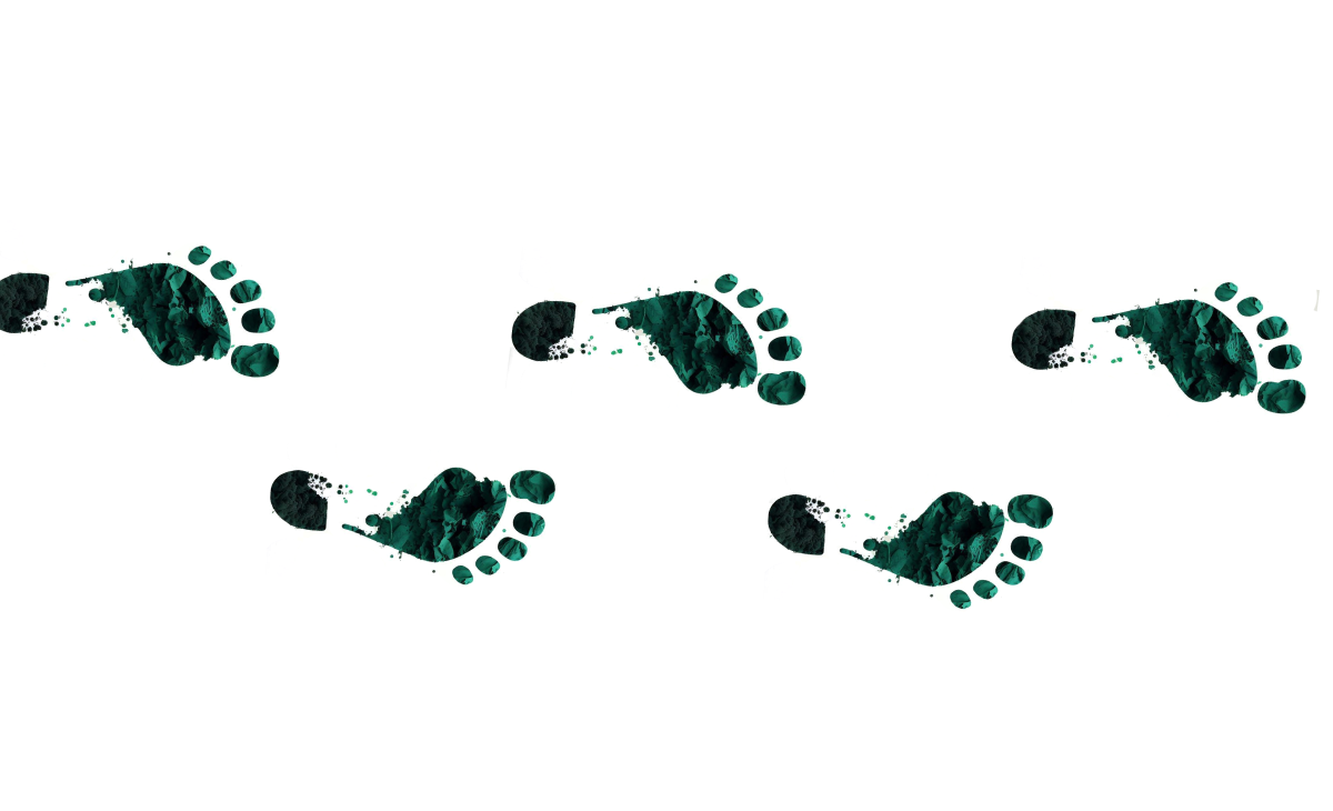 Track Your Footprint Like You Track Your Footsteps - Momo Homes
